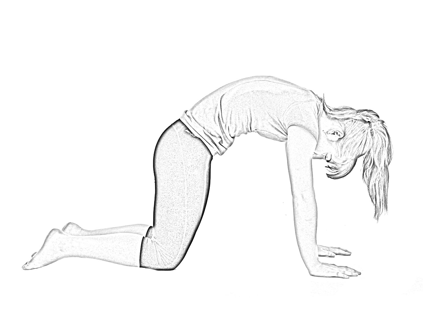 Dynamic Stretching: 62 useful stretches to warm-up with before exercising