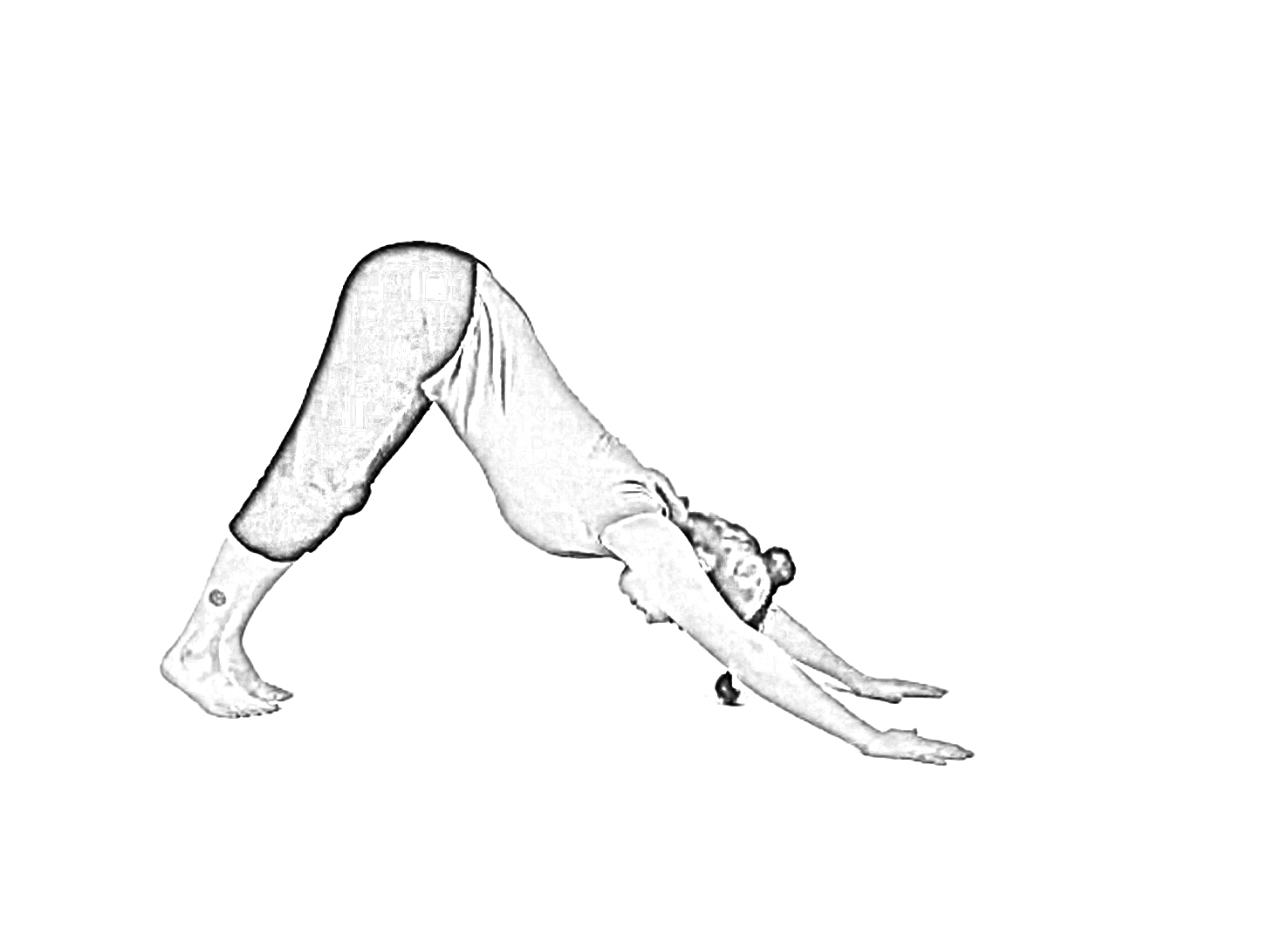 Dynamic Stretching: 62 useful stretches to warm-up with before exercising